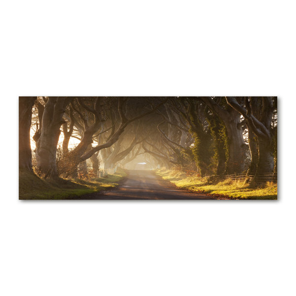Union Rustic Nebel im Wald - Kunstdrucke auf Leinwand - Wrapped Canvas | Wayfair.de
